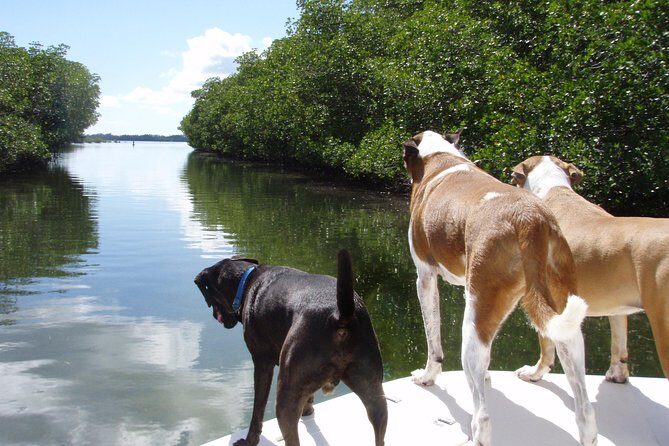Half Day Private Boat Tour - Final Thoughts