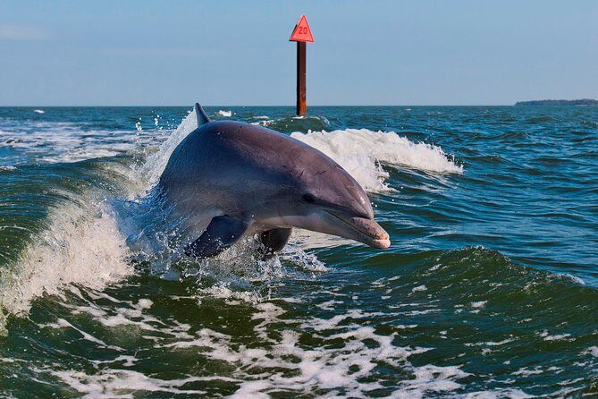 Half-Day Private Boating On Black Hurricane - Indian Rocks Beach - FAQs