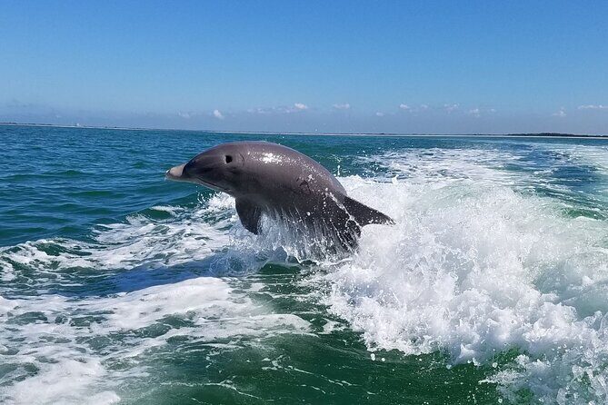 Half-Day Private Boating On Platinum Funship - Dunedin - An Honest Look at the Experience