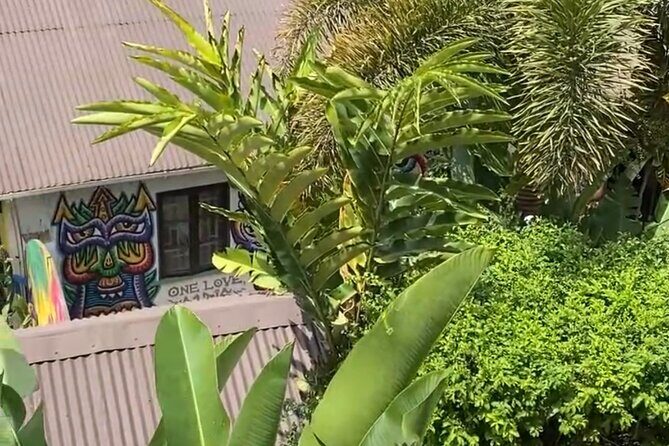 Half- Day Private Bob Marley 9 Mile and Dunns River Falls Tour - What to Expect on the Tour