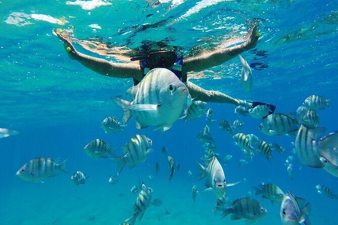 Half-Day Private Catamaran Tour in Puerto Plata - The Sum Up