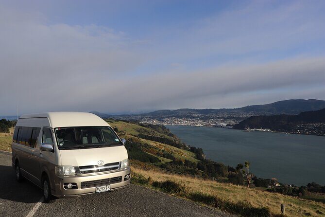 Half-Day Private City, Sights & Wildlife Tours - Exploring Dunedin & Otago Peninsula: An Honest Look at a Highly Praised Half-Day Tour