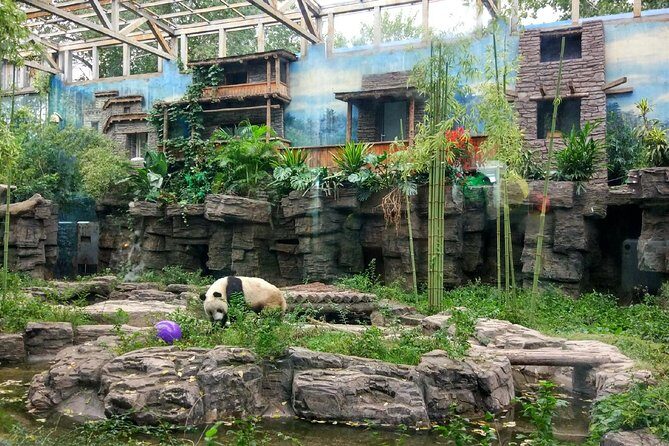 Half-Day Private Customized Beijing City Tour with Flexible Departure Time - The Experience of a Private Guide and Transport