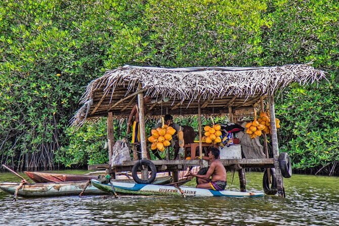 Half Day Private Exploration of the Beauty of Southern Coast - The Itinerary: What to Expect