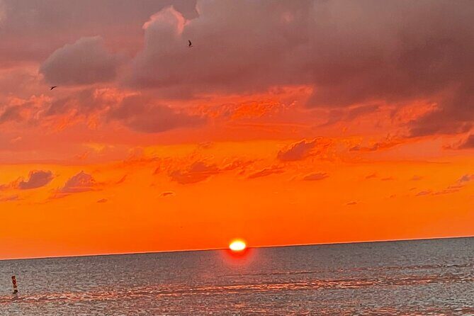 Half Day Private Fishing Trip with Site Seeing Around Anna Maria Island - Starting Point and Logistics