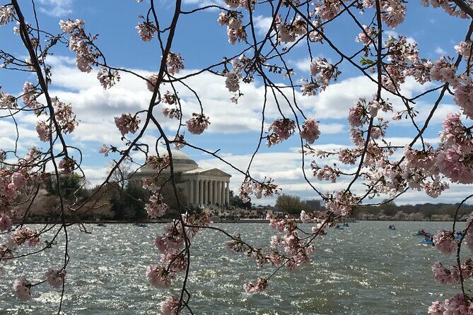 Half-Day Private Guided Bike Tour in Washington - Authentic Perspectives from Past Participants
