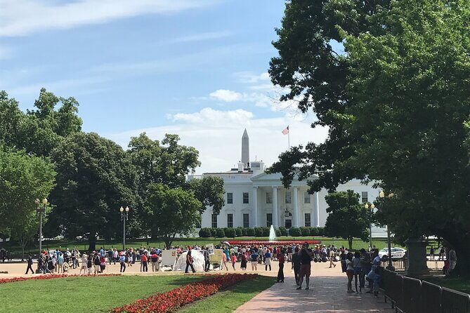 Half-Day Private Guided Bike Tour in Washington - Analyzing the Price and Value