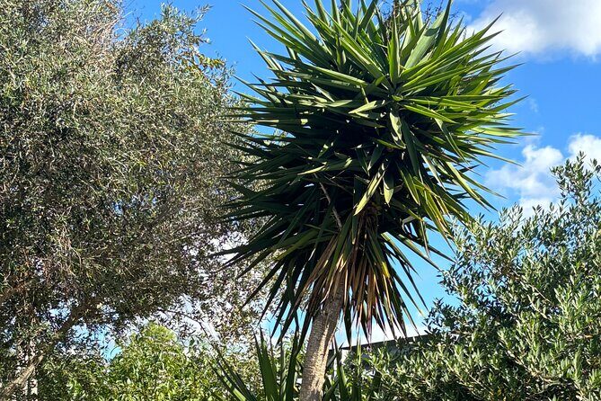 Half Day Private Guided Exclusive Hiking Experiences in Menorca - Final Thoughts: Who Will Love This Experience?