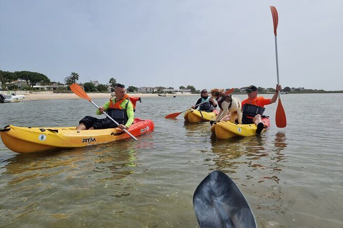 Half-Day Private Guided Kayak Island Tour - Discovering the Ria Formosa by Kayak: An Authentic Experience