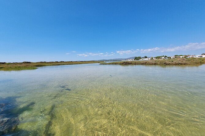 Half-Day Private Guided Kayak Island Tour - Who Will Love This Tour?