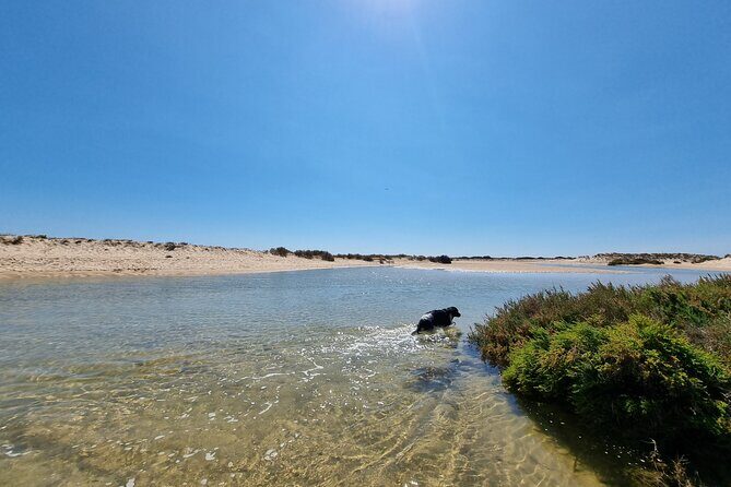 Half-Day Private Guided Kayak Island Tour - The Sum Up