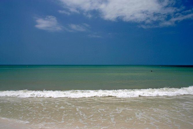 Half-Day Private Guided Nature of Floridas Gulf Coast Eco Tour - Exploring the Florida Gulf Coast on a Private Eco Boat Tour