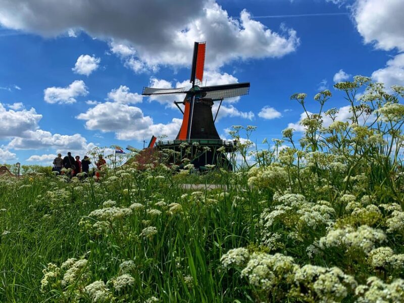 Half-Day Private Guided Sightseeing Tour of Zaanse Schans - Key Points