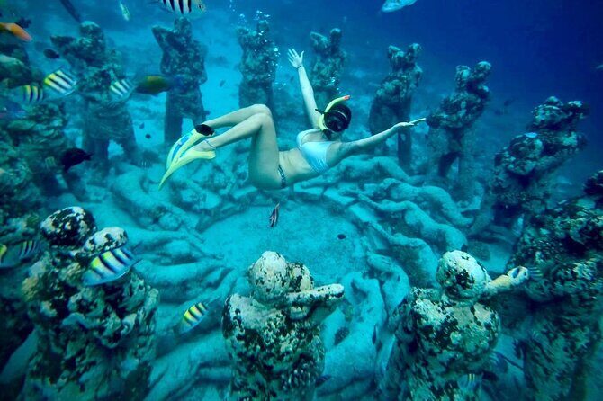 Half-Day Private Guided Snorkeling Turtles Underwater Statues - An In-Depth Look at the Tour Experience