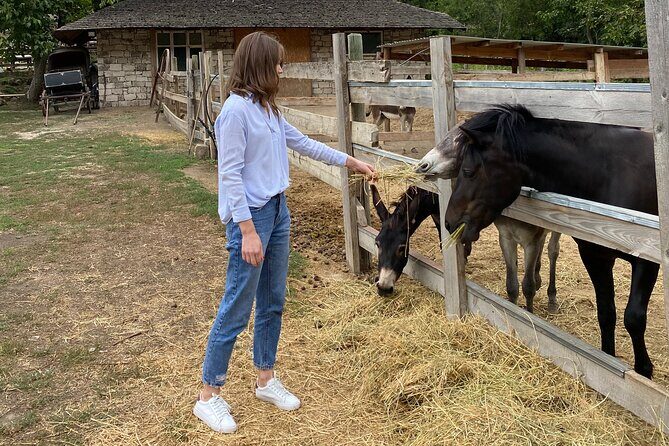 Half-Day Private Guided Tour of Orheiul Vechi and a Farmhouse - Final Thoughts