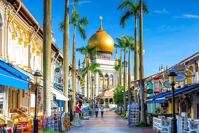 Half Day Private Guided Tour through Singapore's Iconic Landmarks - Practical Details & Value