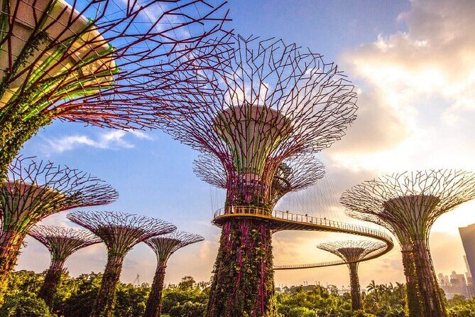 Half Day Private Guided Tour through Singapore's Iconic Landmarks - FAQs