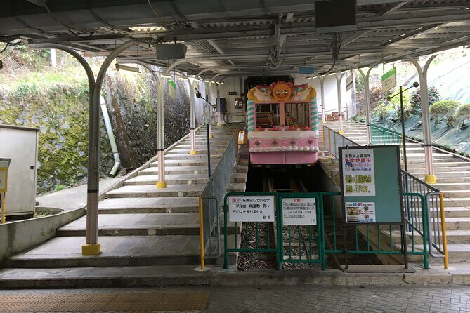 Half-Day Private Guided Tour to Mount Ikoma - Analyzing the Value