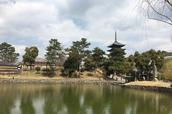 Half-Day Private Guided Tour to Nara City - Why Choose a Half-Day Private Nara Tour?