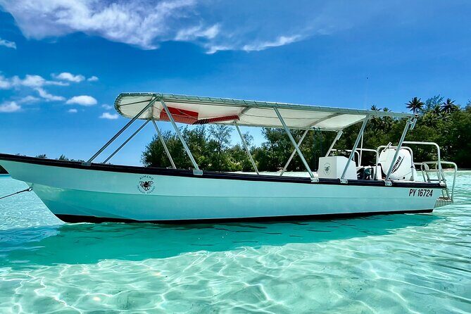Half Day / Private Lagoon Adventure in Mo'orea - Why Choose This Tour?