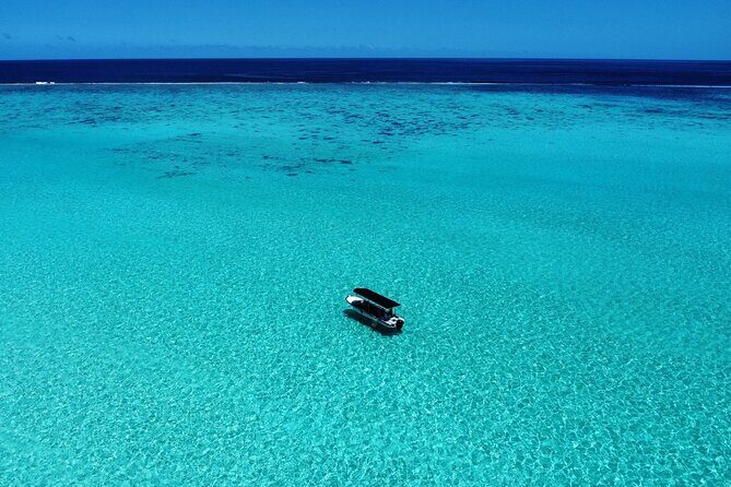 Half Day / Private Lagoon Adventure in Mo'orea - What to Expect and What to Bring