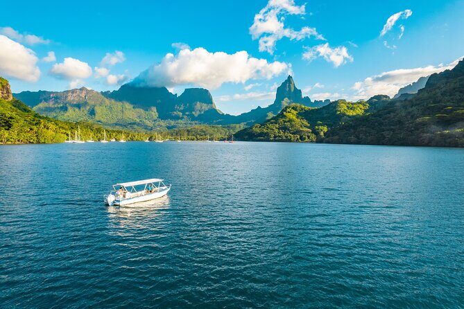 Half Day / Private Lagoon Adventure in Mo'orea - Reviews in Practice