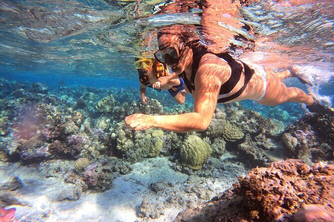 Half Day / Private Lagoon Adventure in Mo'orea - How Does the Price Reflect the Experience?