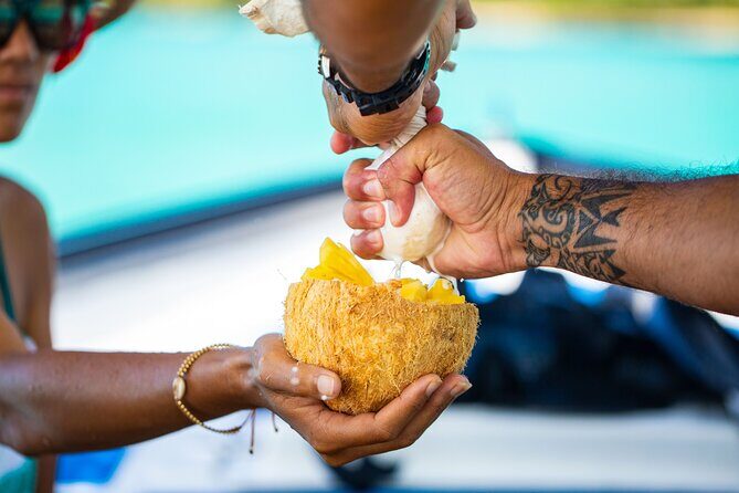Half Day / Private Lagoon Adventure in Mo'orea - Practical Details & Tips