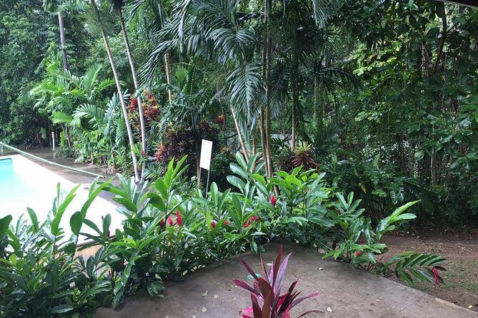 Half-Day Private Martha Brae Rafting Tour from Montego Bay - The Sum Up