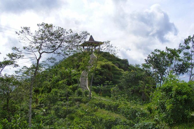 Half-day Private Menoreh Hill Trekking Tour from Borobudur - Exploring the Heart of Central Java: A Detailed Look