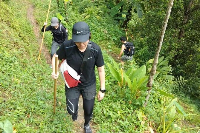 Half-day Private Menoreh Hill Trekking Tour from Borobudur - FAQs