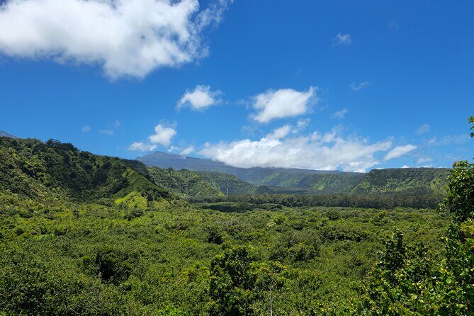 Half Day Private Road to Hana Tour with Pickup - Frequently Asked Questions