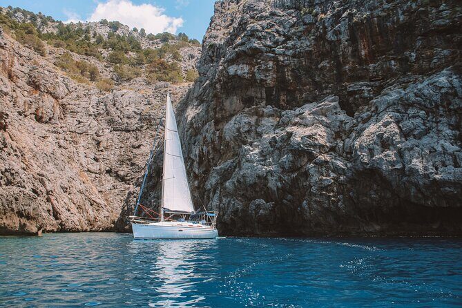 Half Day Private Sailing Tour along the Tramuntana Coast - What Makes This Tour Special?