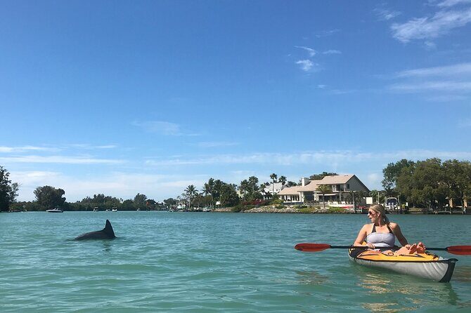 Half-Day Private Sarasota Charter Tour with Wildlife Watching - Introducing Sarasota’s Waterways and Wildlife: A Personal Perspective