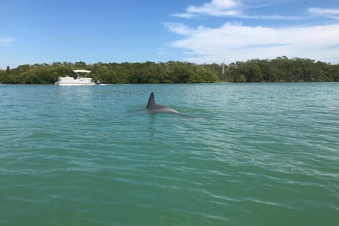 Half-Day Private Sarasota Charter Tour with Wildlife Watching - Summarizing the Experience’s Value