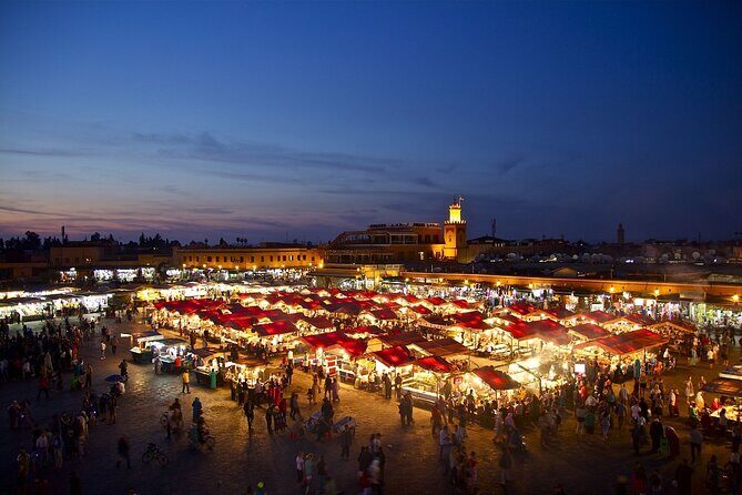 Half Day Private Sightseeing Tour in Marrakech City - Who Will Love This Tour?