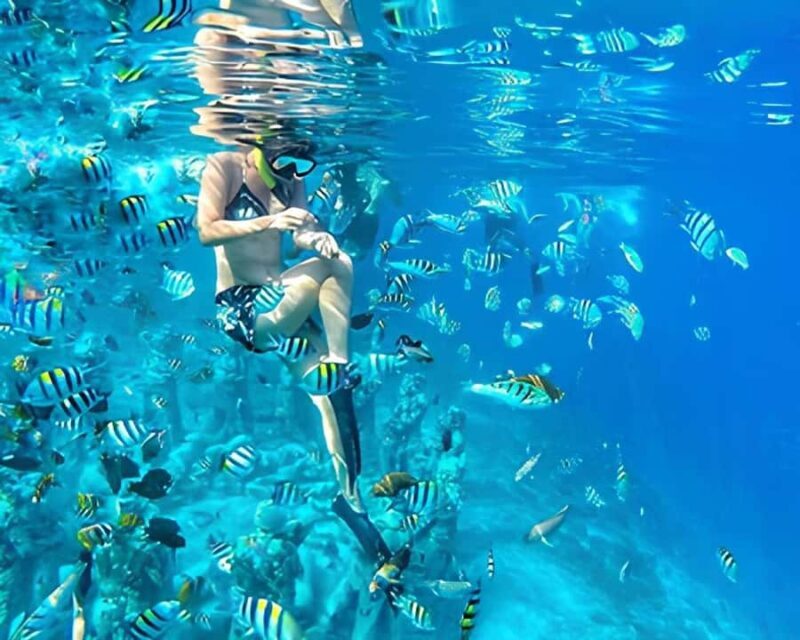 Half Day Private Snorkeling Swim With Turtles Free Gopro - A Practical Dive into the Tour: What You Can Expect