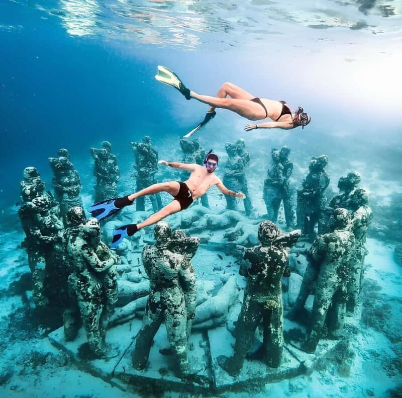 Half Day Private Snorkeling Swim With Turtles Free Gopro - Why Travelers Keep Coming Back