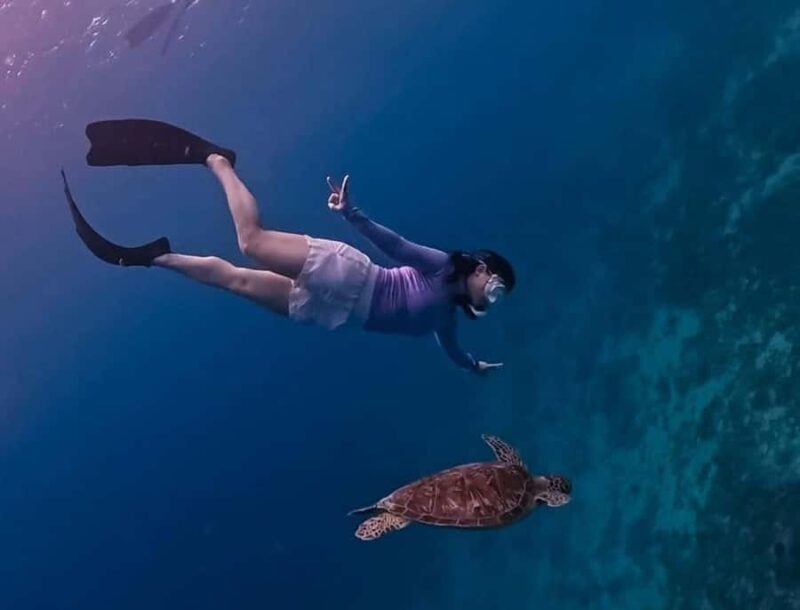 Half Day Private Snorkeling Swim With Turtles Free Gopro - FAQ