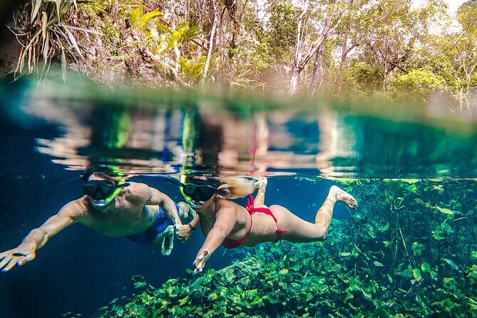 Half Day Private Snorkeling with Turtles and Majestic Cenotes - The Value of the Tour