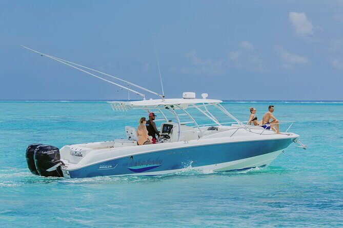 Half-Day Private Stingray City Charter - Grand Cayman - BTC - Key Points