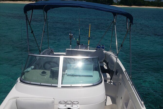 Half-Day Private Stingray City Charter in Cayman Islands - What Sets This Tour Apart