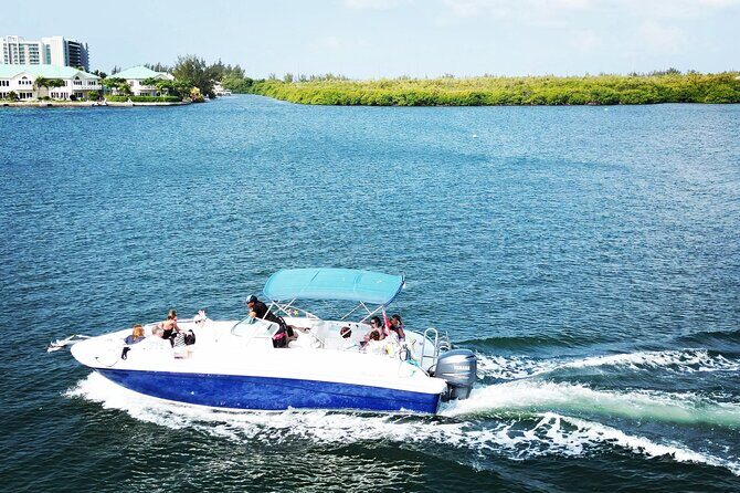 Half-Day Private Stingray City Charter in Cayman Islands - Who Should Book This Tour?