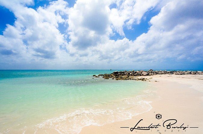 Half Day Private Tour in Aruba with Guide - Who Will Appreciate This Tour?