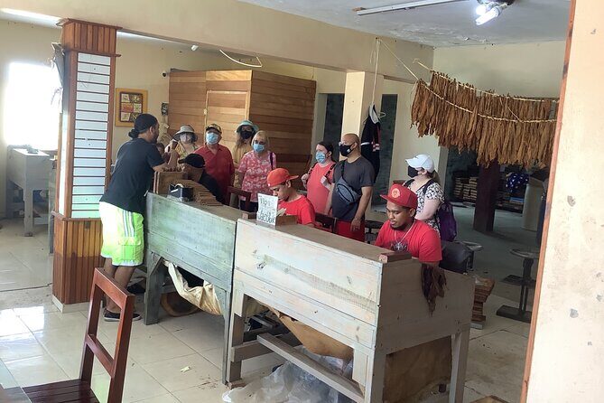 Half Day Private Tour in Dominican Republic with Local Guide - FAQs