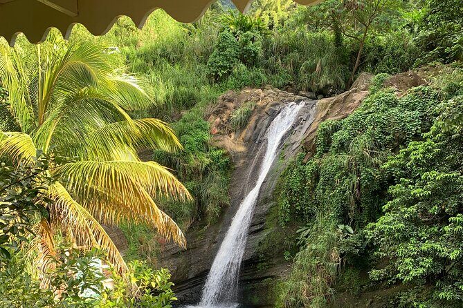 Half Day Private Tour in Grenada - Transport, Guides, and Overall Experience