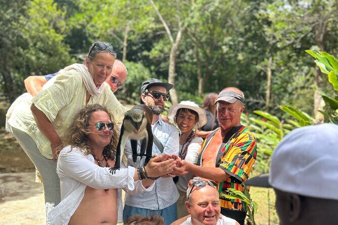 Half Day Private Tour in Grenada - The Sum Up