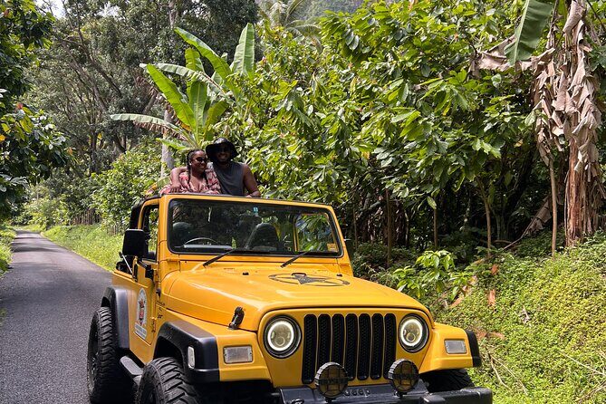 Half Day Private Tour in St. Lucia Jeep Wrangler - Discovering St. Lucia with a Private Jeep Wrangler Tour
