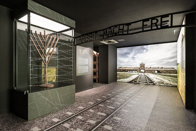 Half Day Private Tour in TukTuk Porto Jewish Heritage - Final Thoughts: Who Will Love This Tour?