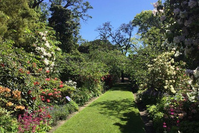 Half day Private Tour of Dunedin City Highlights and Peninsula Scenery - An In-Depth Look at the Dunedin & Otago Peninsula Tour